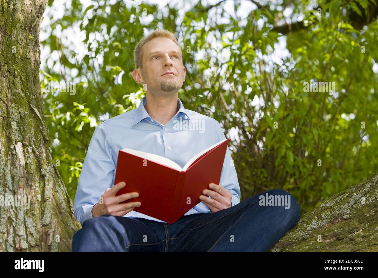 Imagination in nature Stock Photo - Alamy