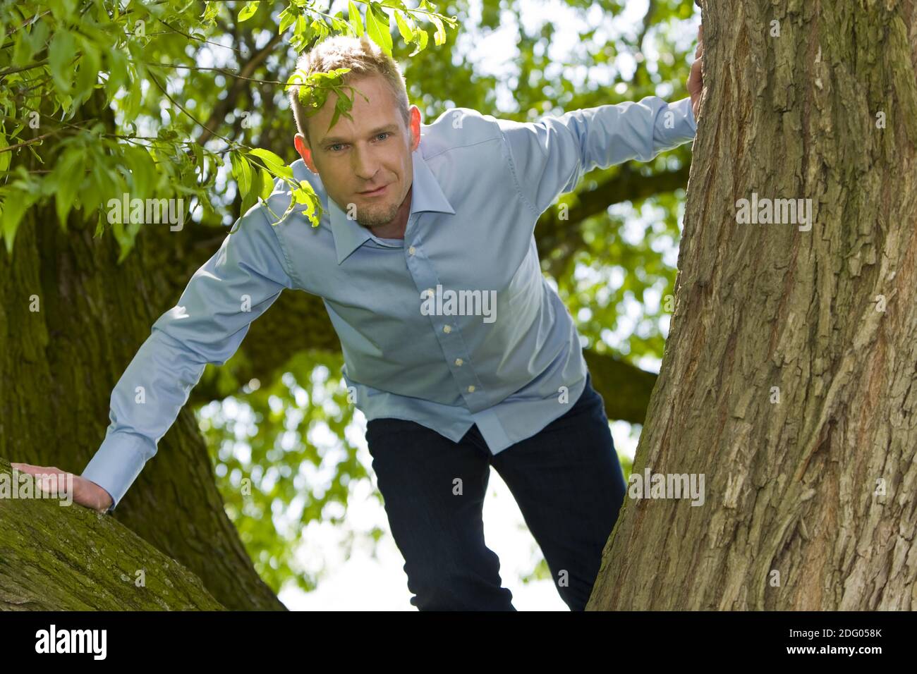 Gymnastics in the tree Stock Photo - Alamy
