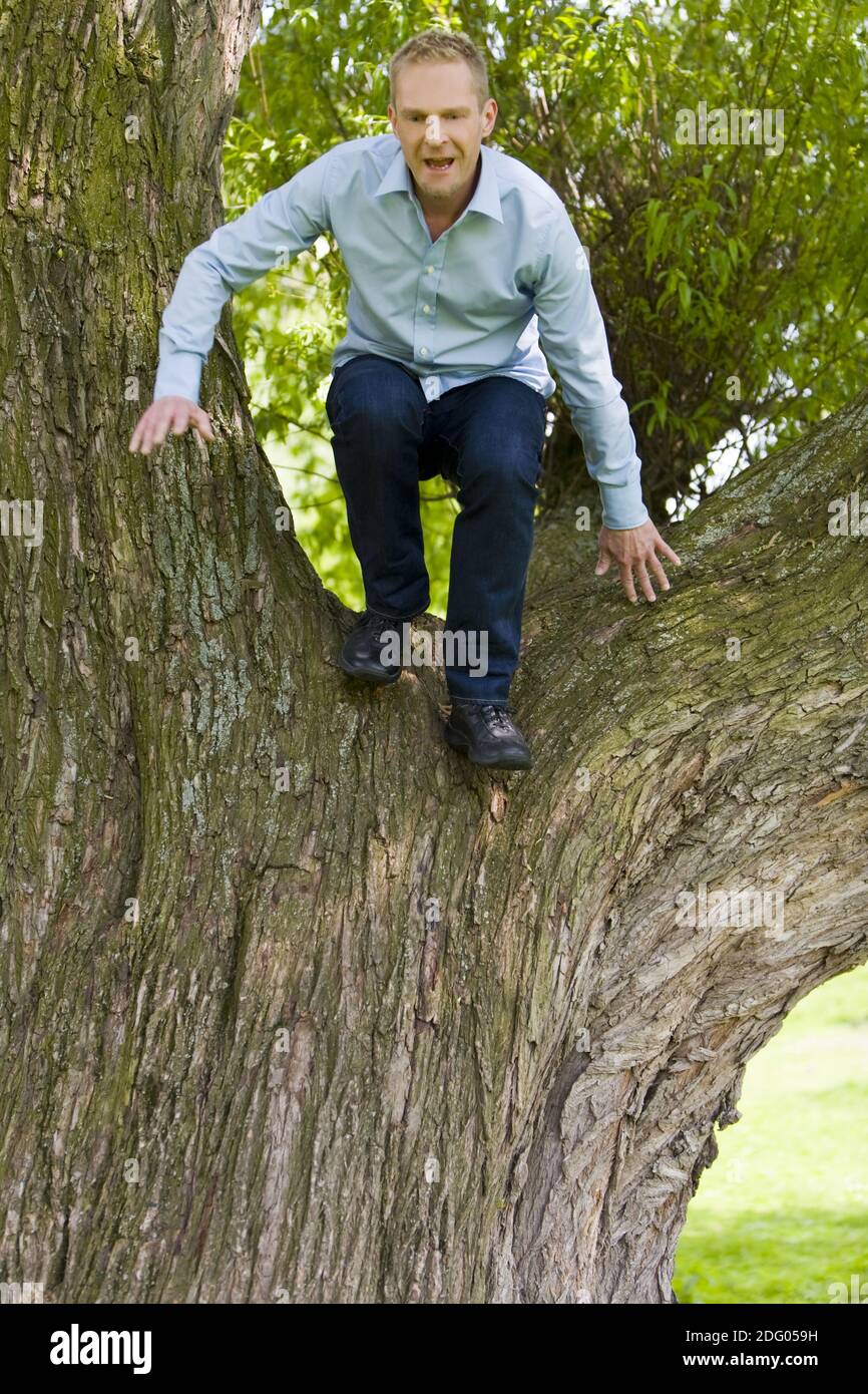 Man jumps out of a tree Stock Photo - Alamy