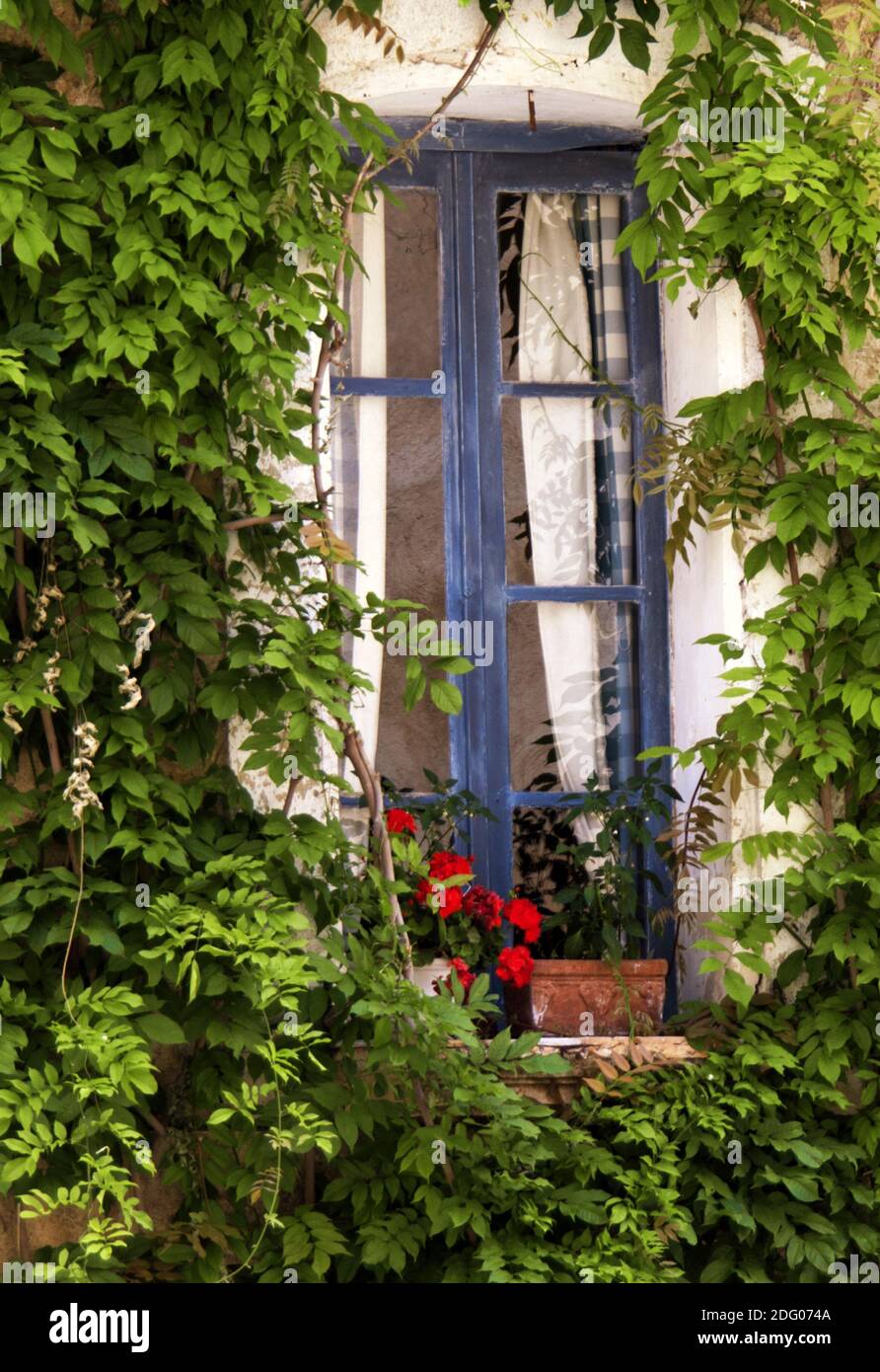 Windows in Provence Stock Photo - Alamy