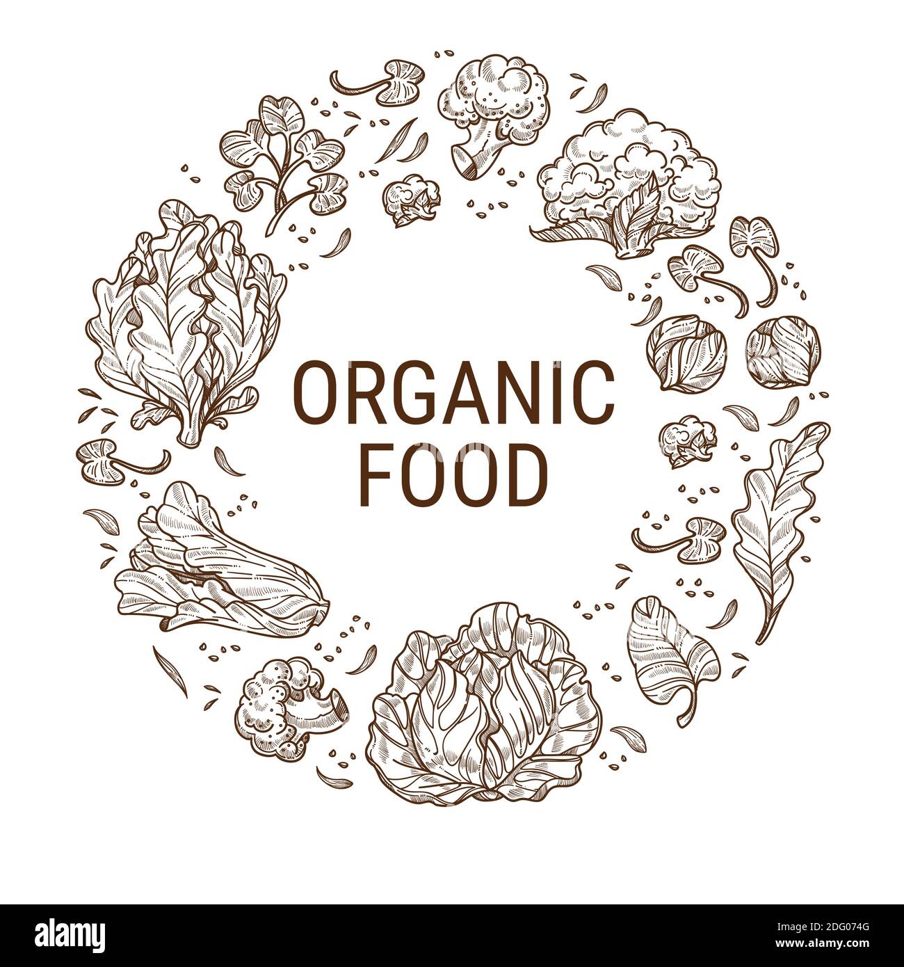 Organic food, healthy dieting and eating vector Stock Vector Image ...