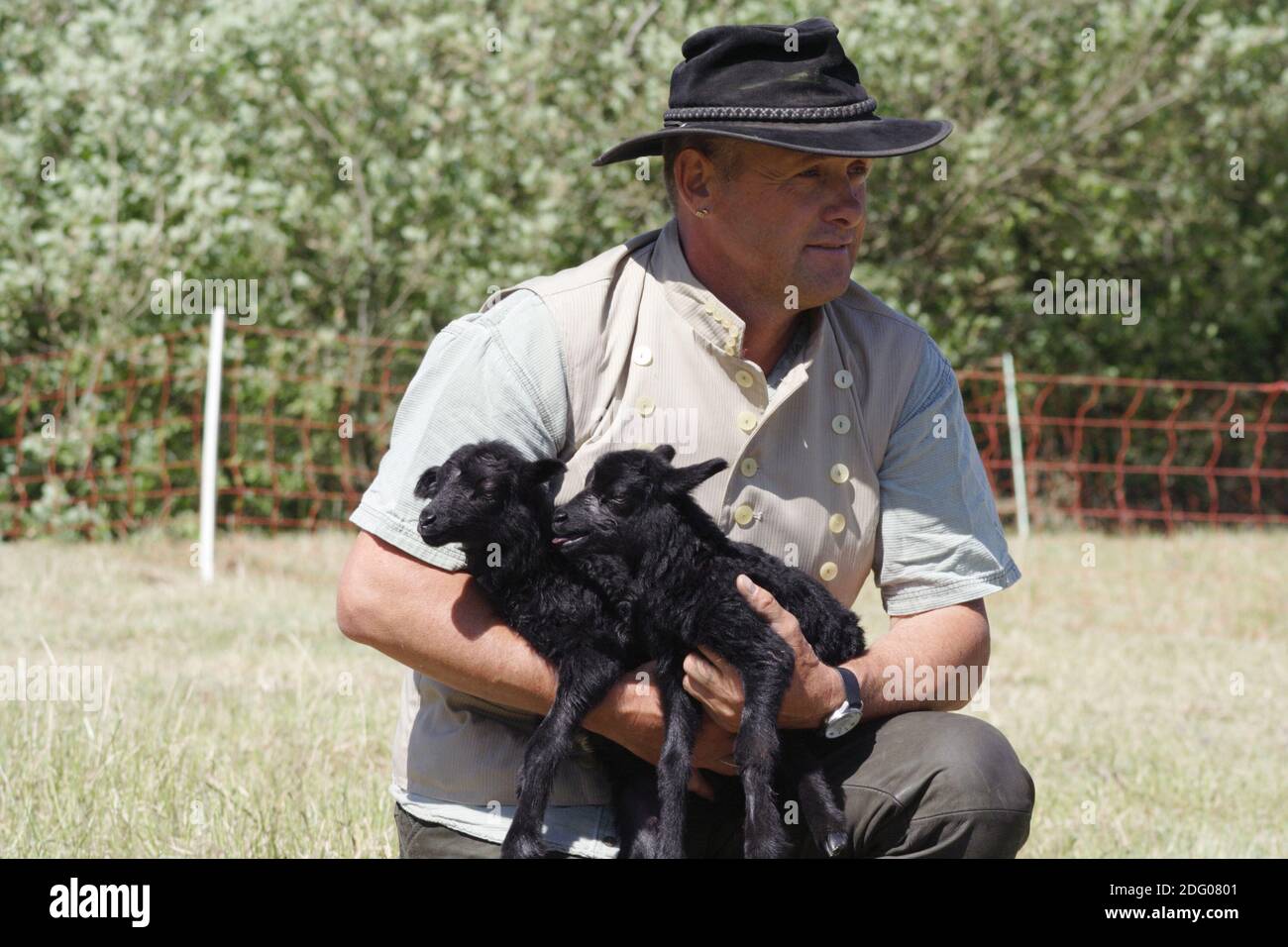 Sheepherder hi-res stock photography and images - Alamy