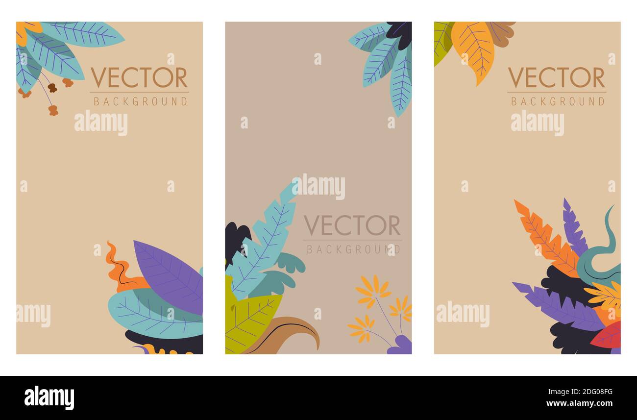 Botany Cover Page Stock Vector Images - Alamy