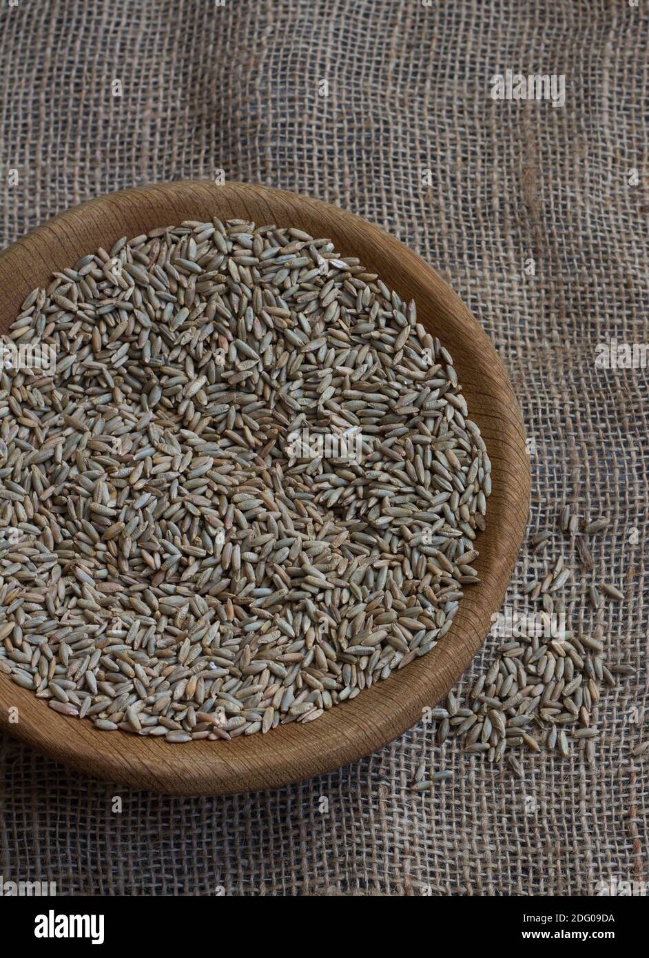 Seeds of rye for germination in a wooden bowl on sackcloth with free ...