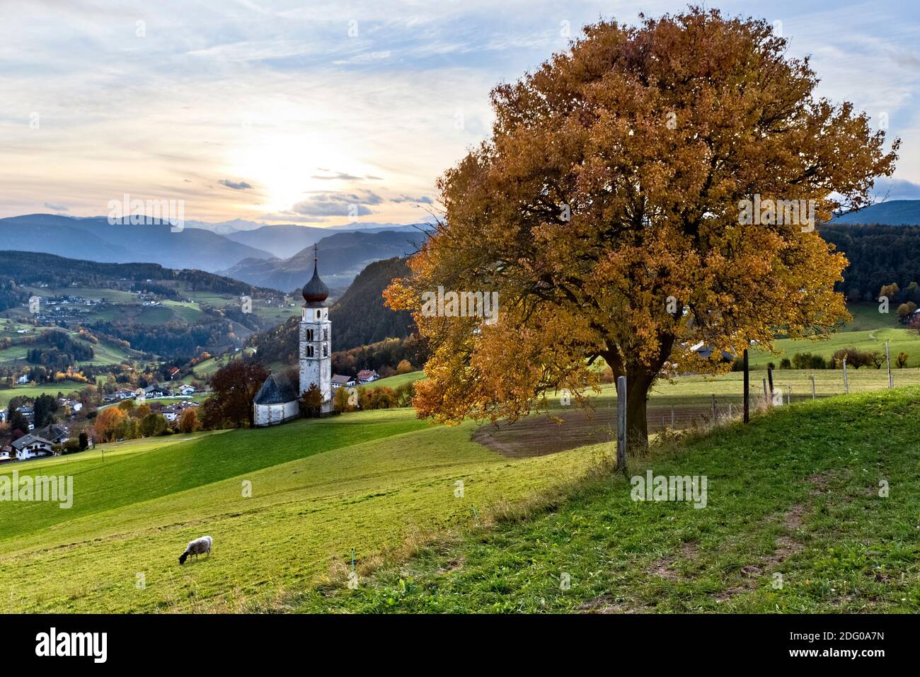 The San Valentino church and the Siusi Alp in autumn. Castelrotto ...