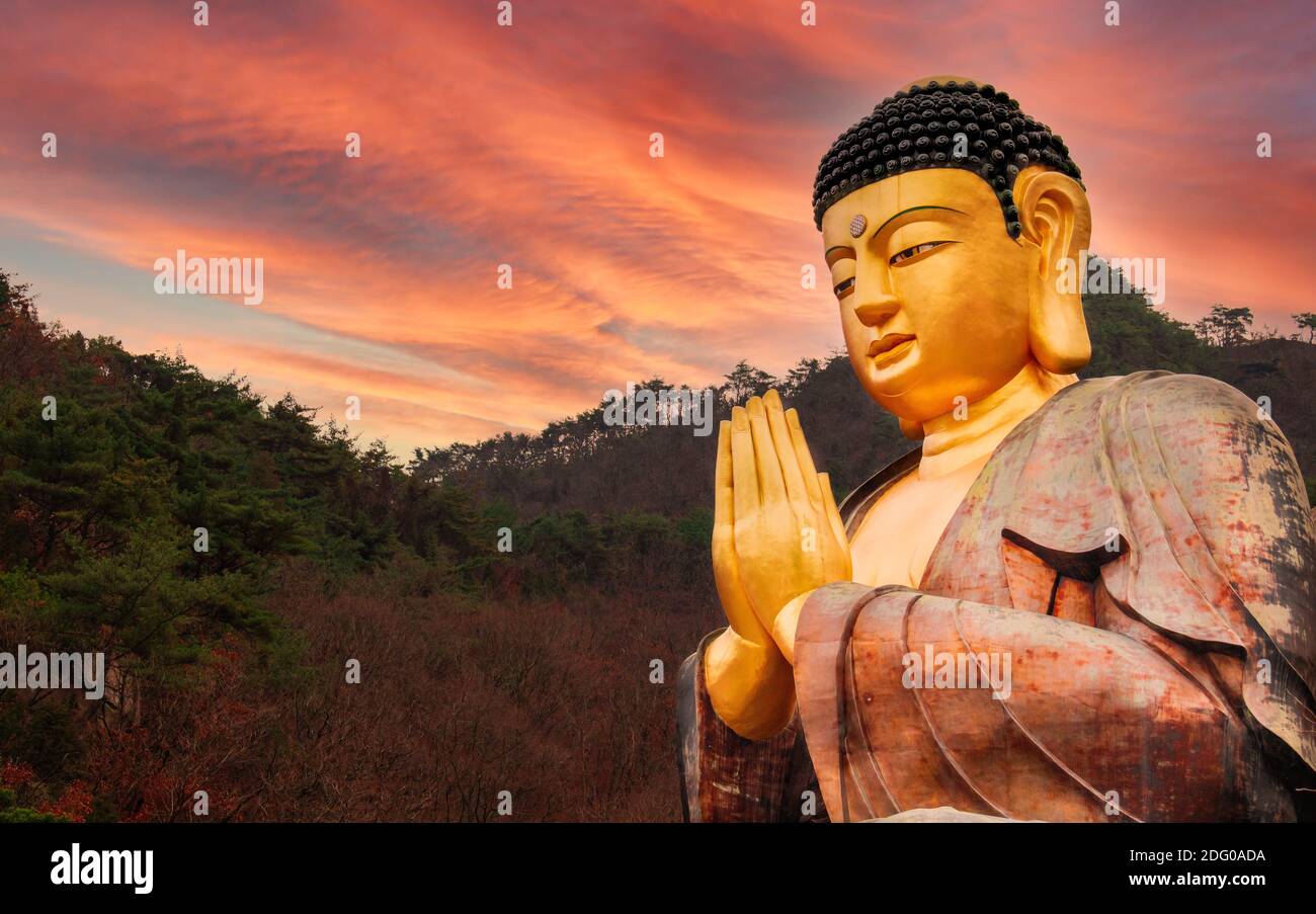 Golden Buddha statue at Bukhansan National Park in Goyang, South Korea ...