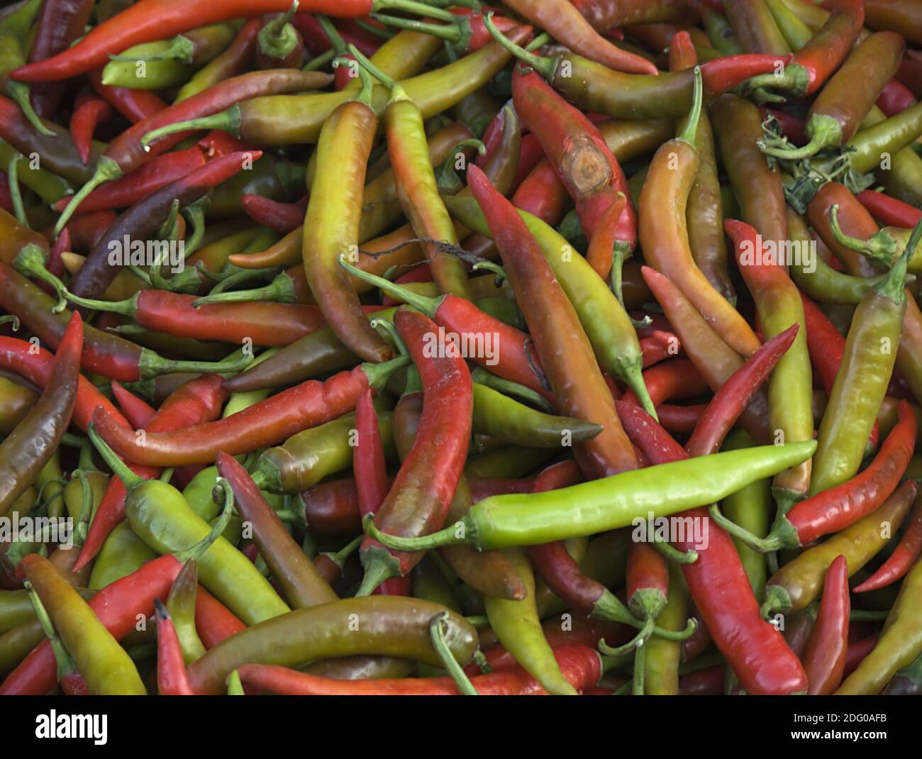 Vietnam chillies hi-res stock photography and images - Alamy