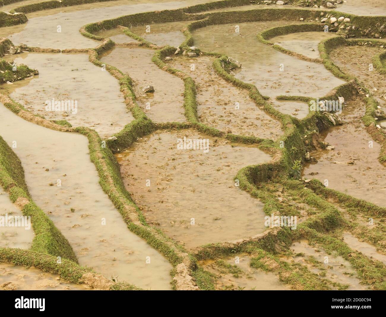 Photograph of the rice terraces hi-res stock photography and images - Alamy