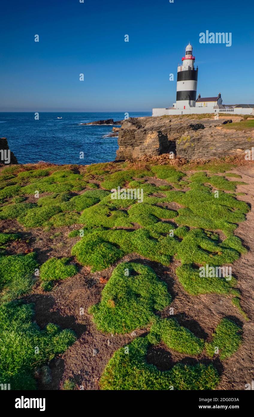 Republic of Ireland, County Wexford, Hook Head Lighthouse which is one ...