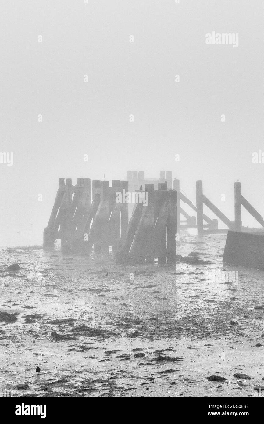 Remnants of Mooring at Gog's Berth on Thames Estuary formerly Used by ...
