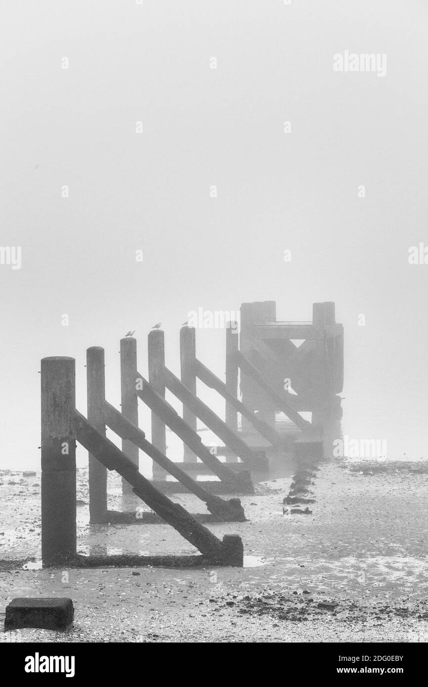 Remnants of Mooring at Gog's Berth on Thames Estuary formerly Used by ...