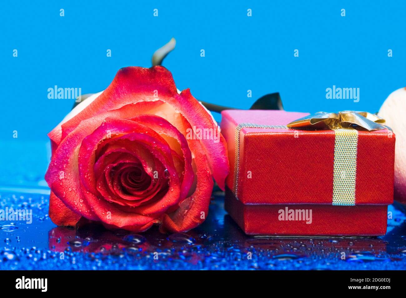 Gift box and red rose Stock Photo - Alamy
