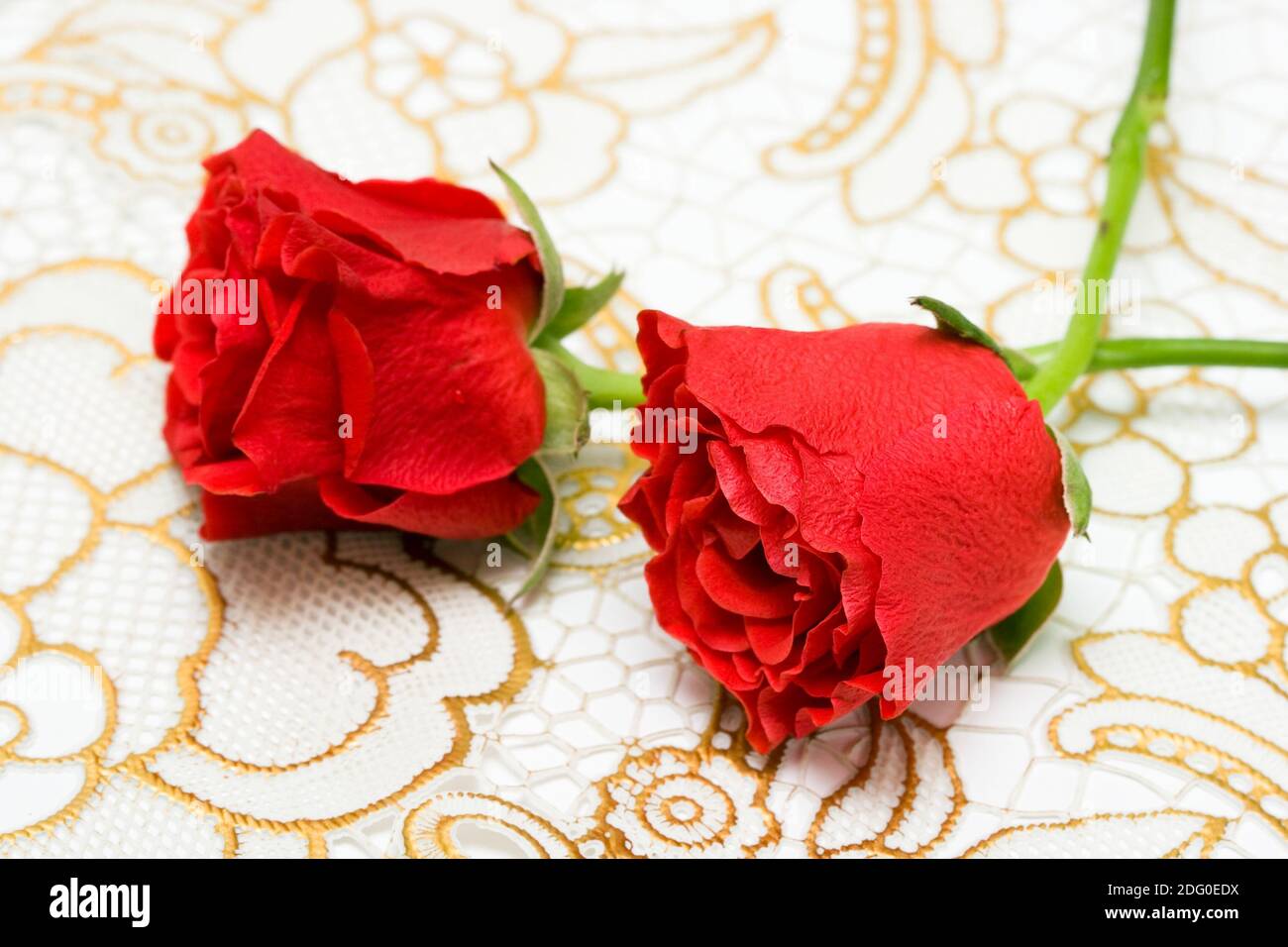 Beautiful rose pattern hi-res stock photography and images - Alamy