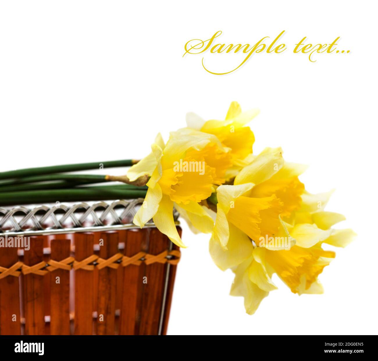 Spring basket design hi-res stock photography and images - Alamy