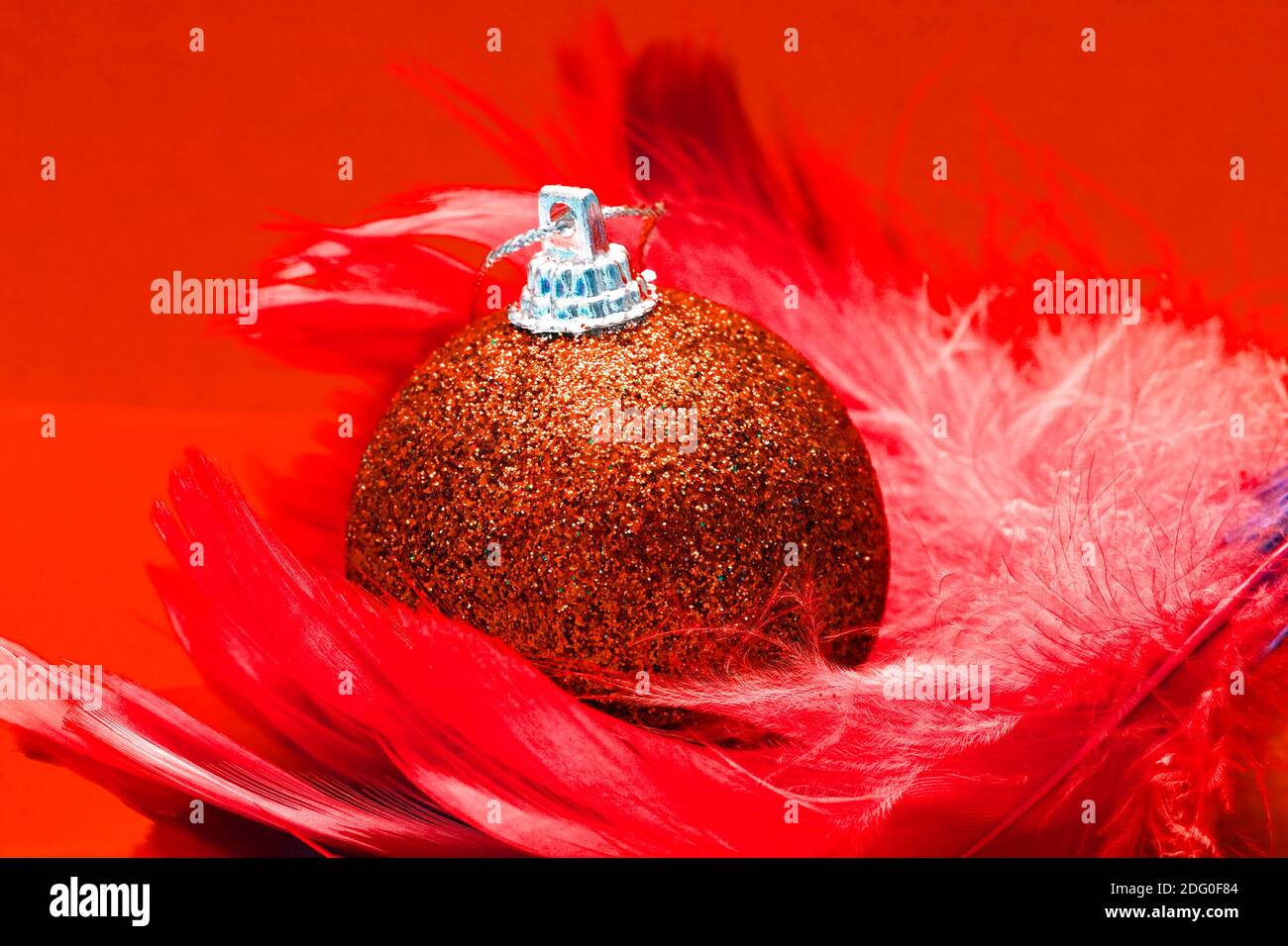 Celebrating feather hi-res stock photography and images - Alamy