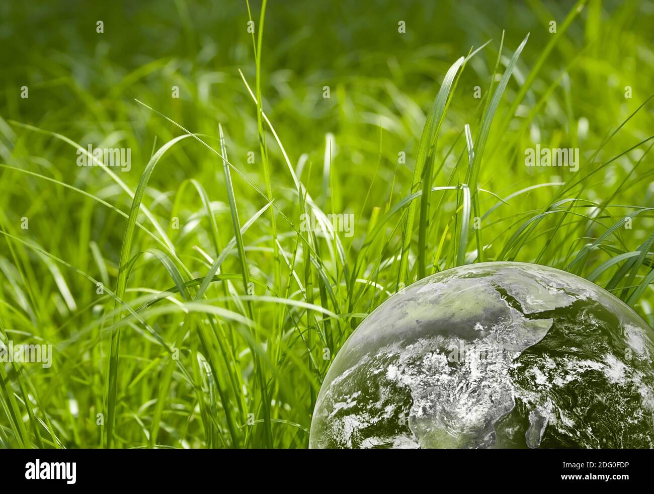 Green grass and earth Stock Photo - Alamy