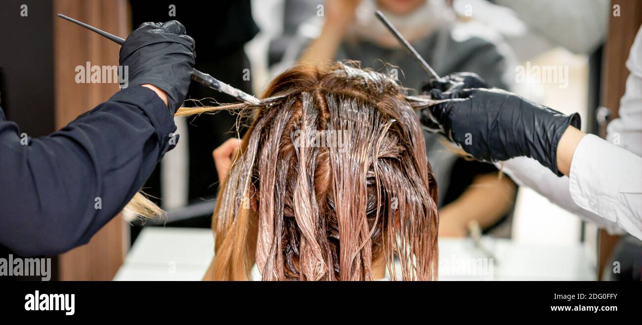 Two of the hairdresser's hands coloring female hair with a brush in a ...
