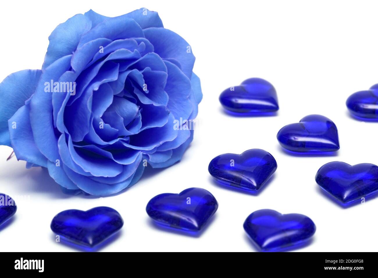 Blue rose with hearts over white background Stock Photo - Alamy