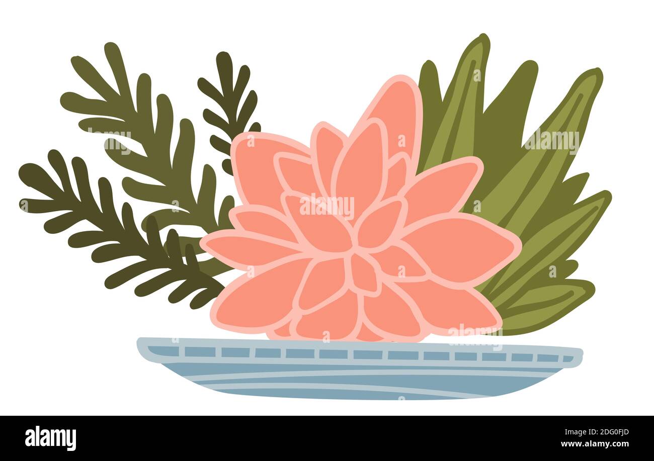 Lotus flower bouquet blooming Cut Out Stock Images & Pictures - Alamy