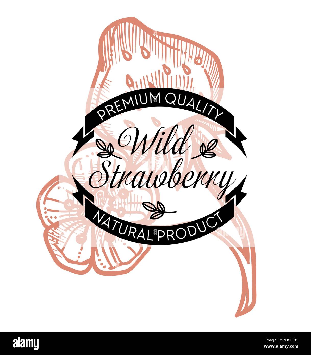 Homegrown strawberry Stock Vector Images - Alamy