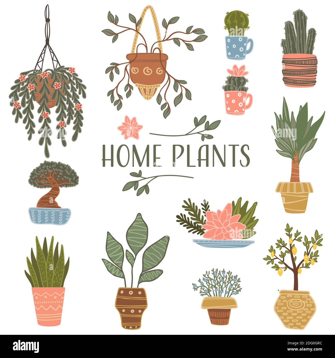 Hanging plants indoors home Stock Vector Images - Alamy