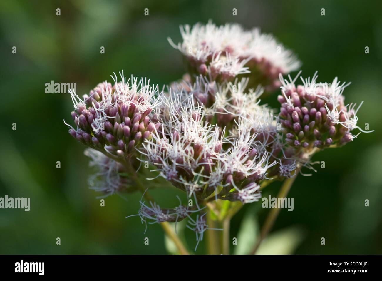 Water east hi-res stock photography and images - Alamy