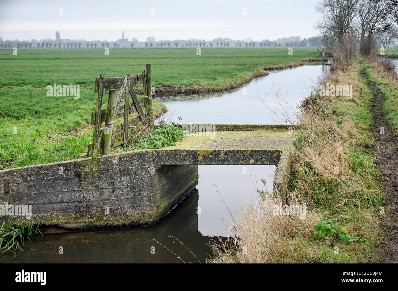 Ditch weed hi-res stock photography and images - Alamy