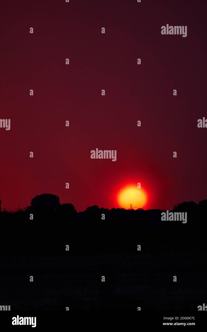 Tree apocalyptic red sky hi-res stock photography and images - Alamy