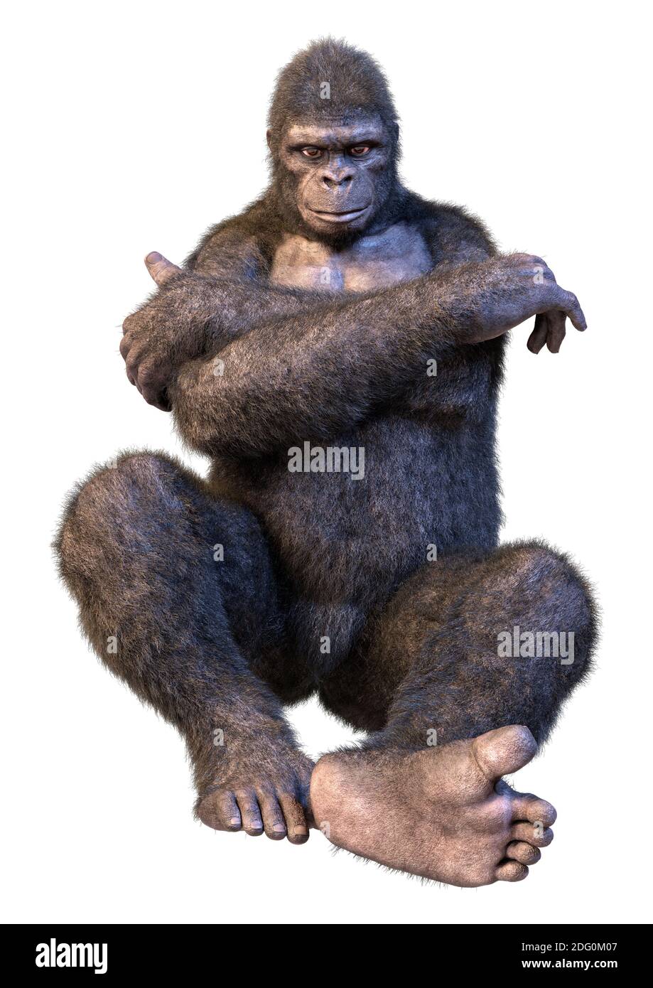 3D rendering of a gorilla ape isolated on white background Stock Photo ...
