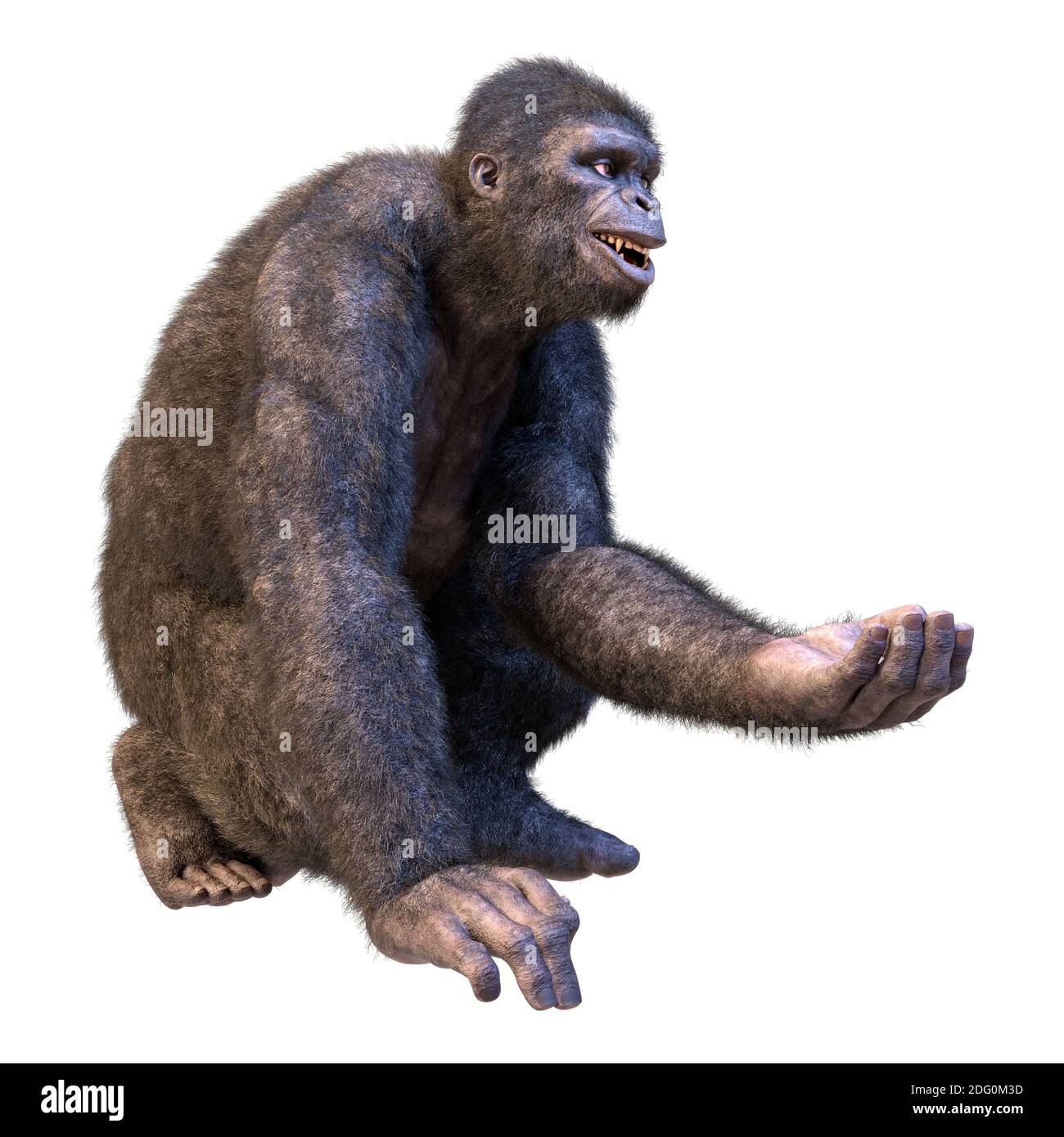 3D rendering of a gorilla ape isolated on white background Stock Photo ...