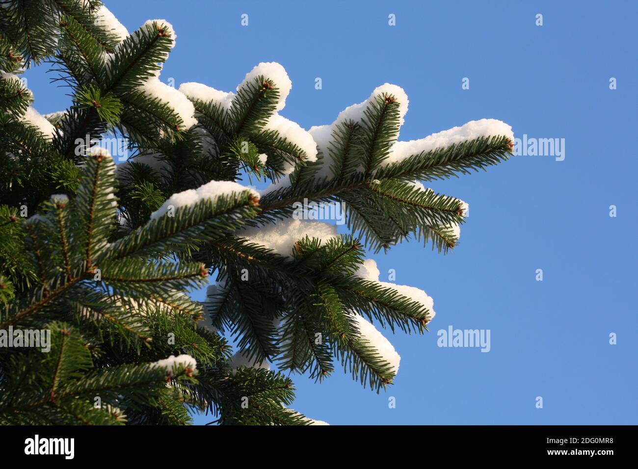 Frostig hi-res stock photography and images - Alamy