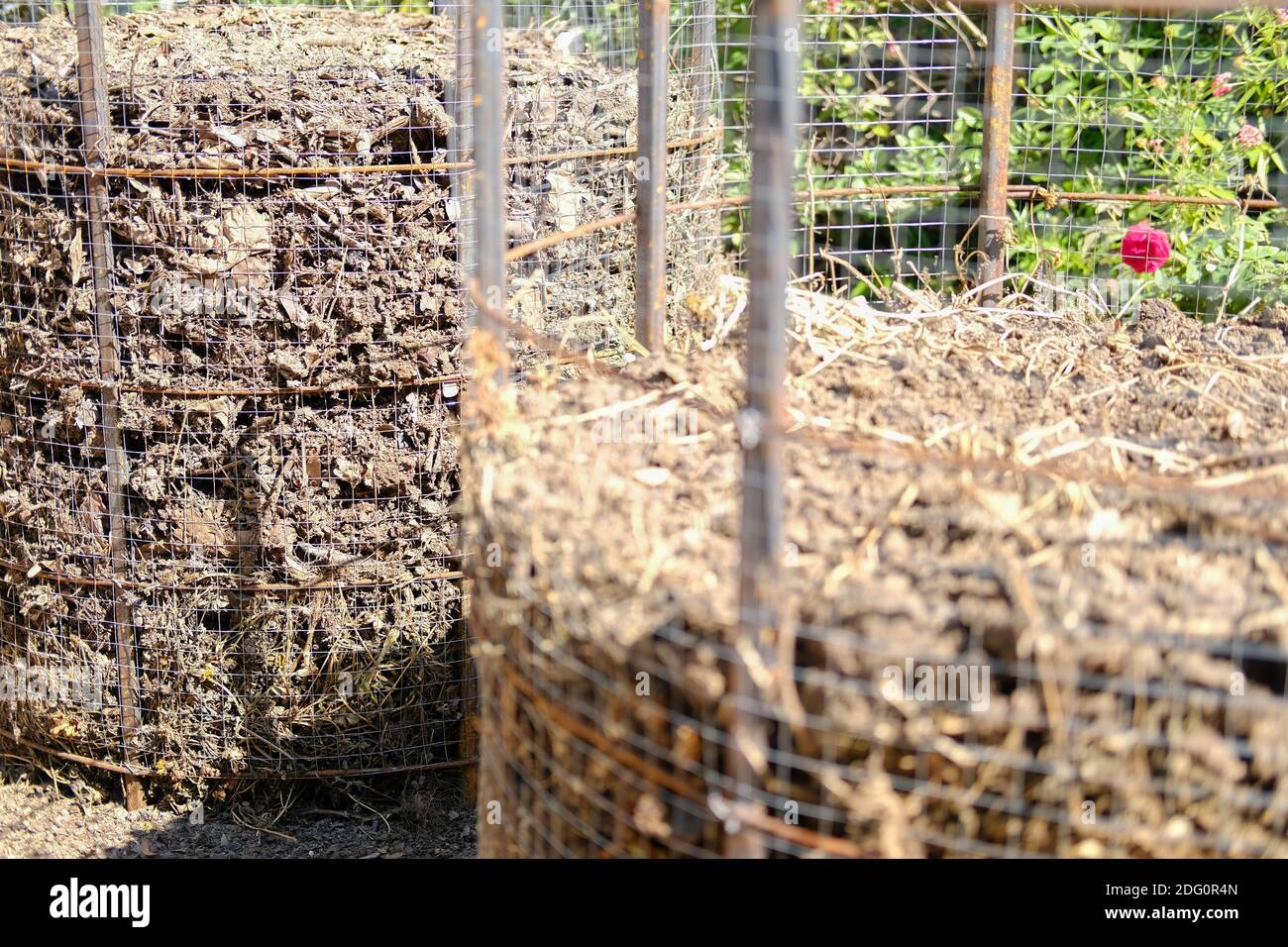 organic compost heap. fertilizer production for soil cultivation in ...
