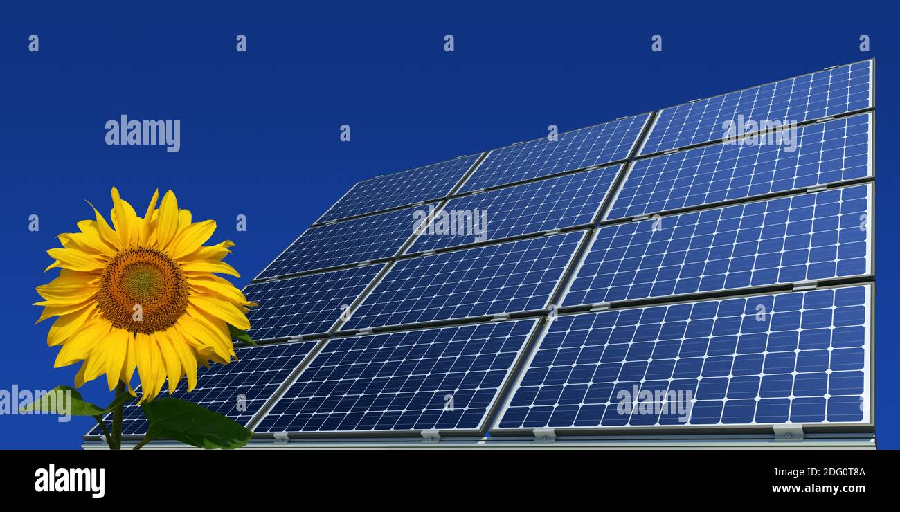 Monocrystalline solar modules and sunflower against a blue background ...