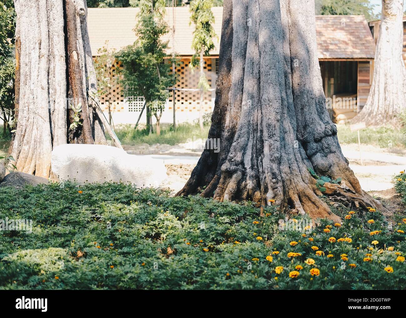 big tree trunk in flower garden park Stock Photo - Alamy