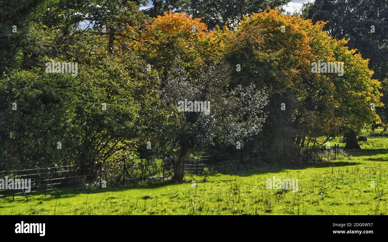 Victorian landscapes hi-res stock photography and images - Alamy
