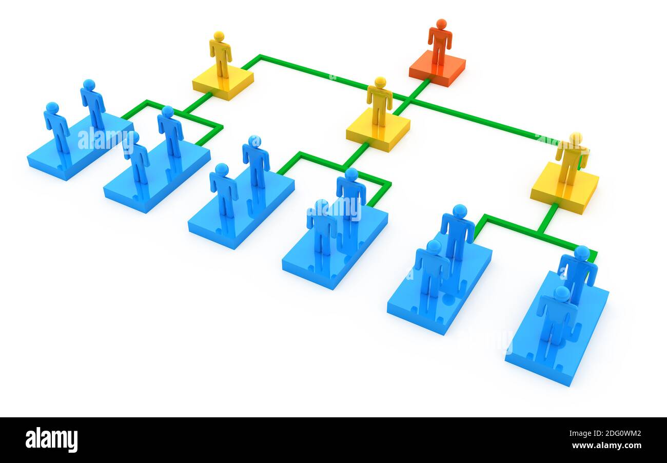 Business organization chart isolated on white Stock Photo - Alamy