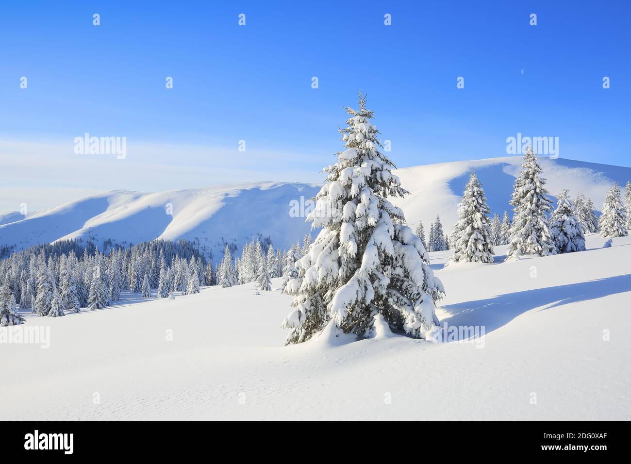 Sunny Winter Day Wallpaper