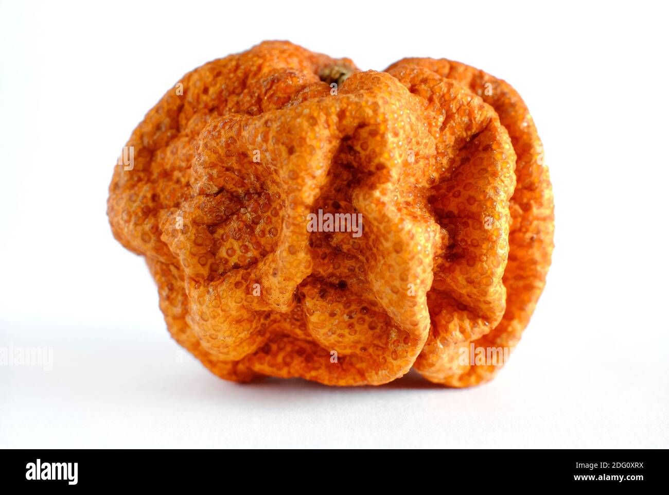 old dried out wrinkled orange on white background Stock Photo - Alamy
