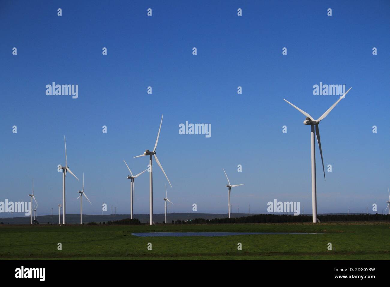 Wind farm eastern cape hi-res stock photography and images - Alamy