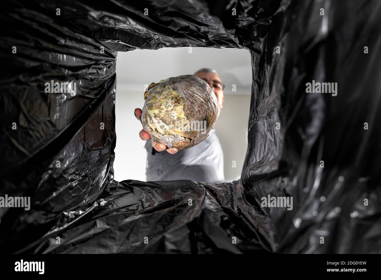 Throw food garbage cabbage hi-res stock photography and images - Alamy
