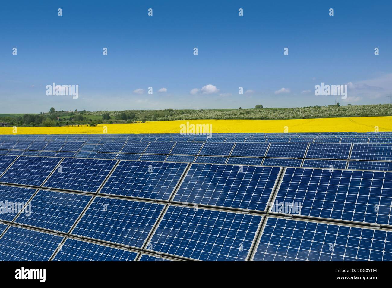 Solar modules in front of a rape field Stock Photo - Alamy