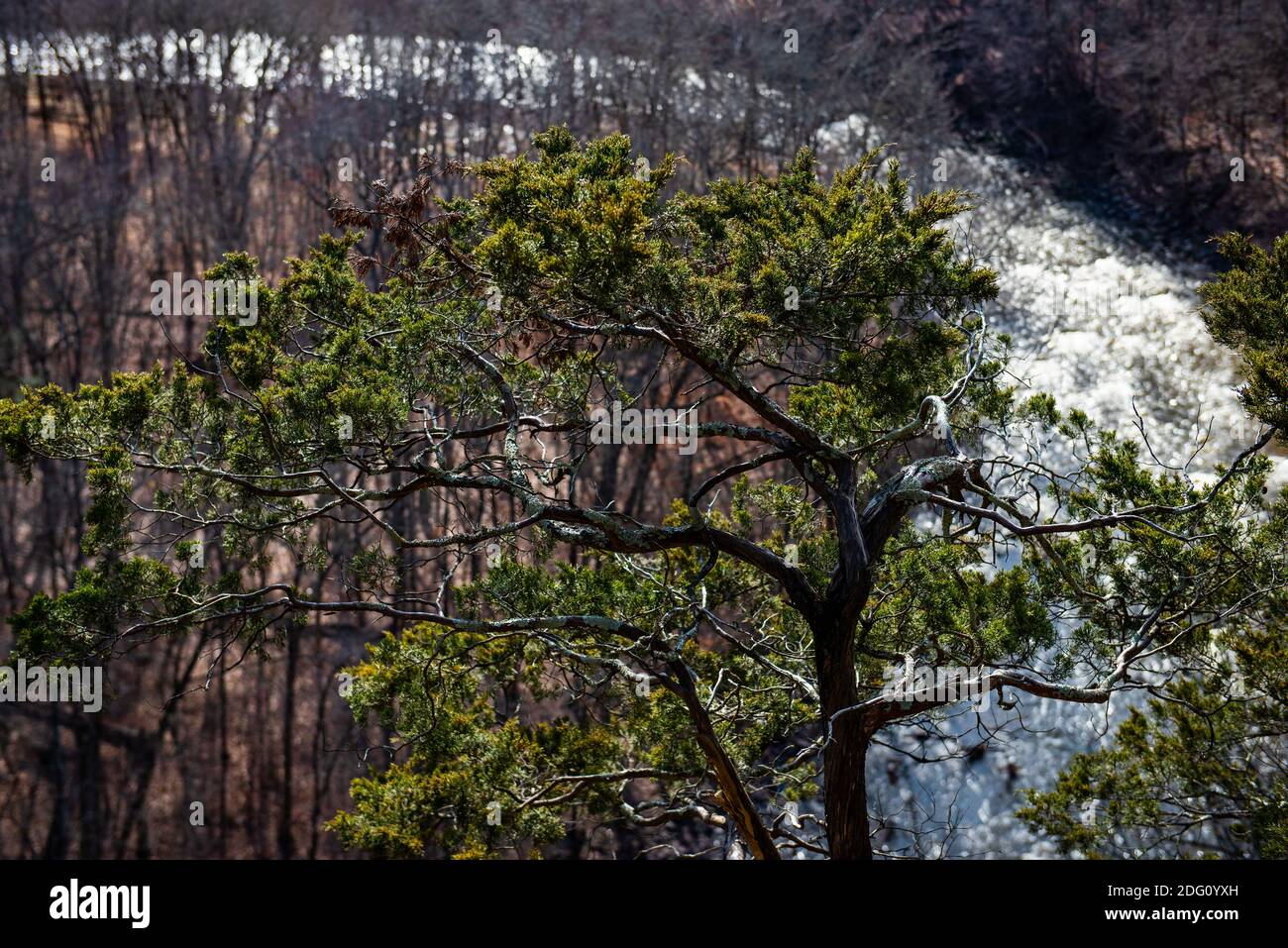High Rocks State Park, Pennsylvania, USA. A high angled view of ...