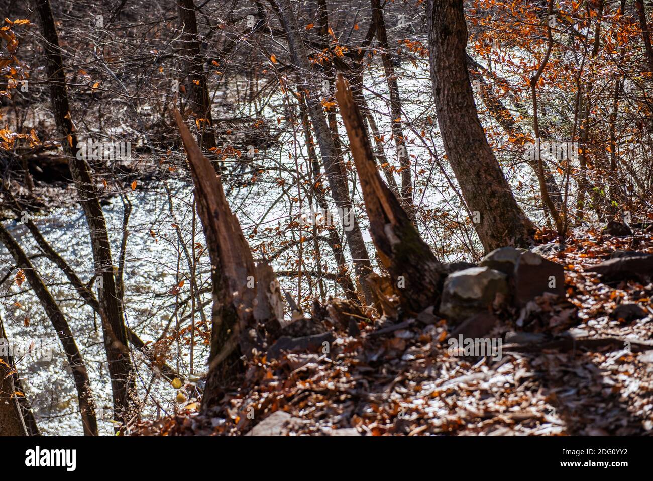 High Rocks State Park, Pennsylvania, USA. Tohickon Creek seen through ...