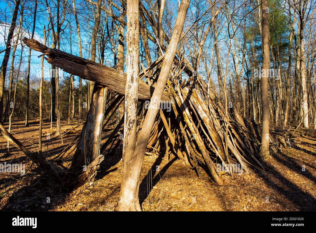 High Rocks State Park, Pennsylvania, USA. A lean-to made of fallen logs ...