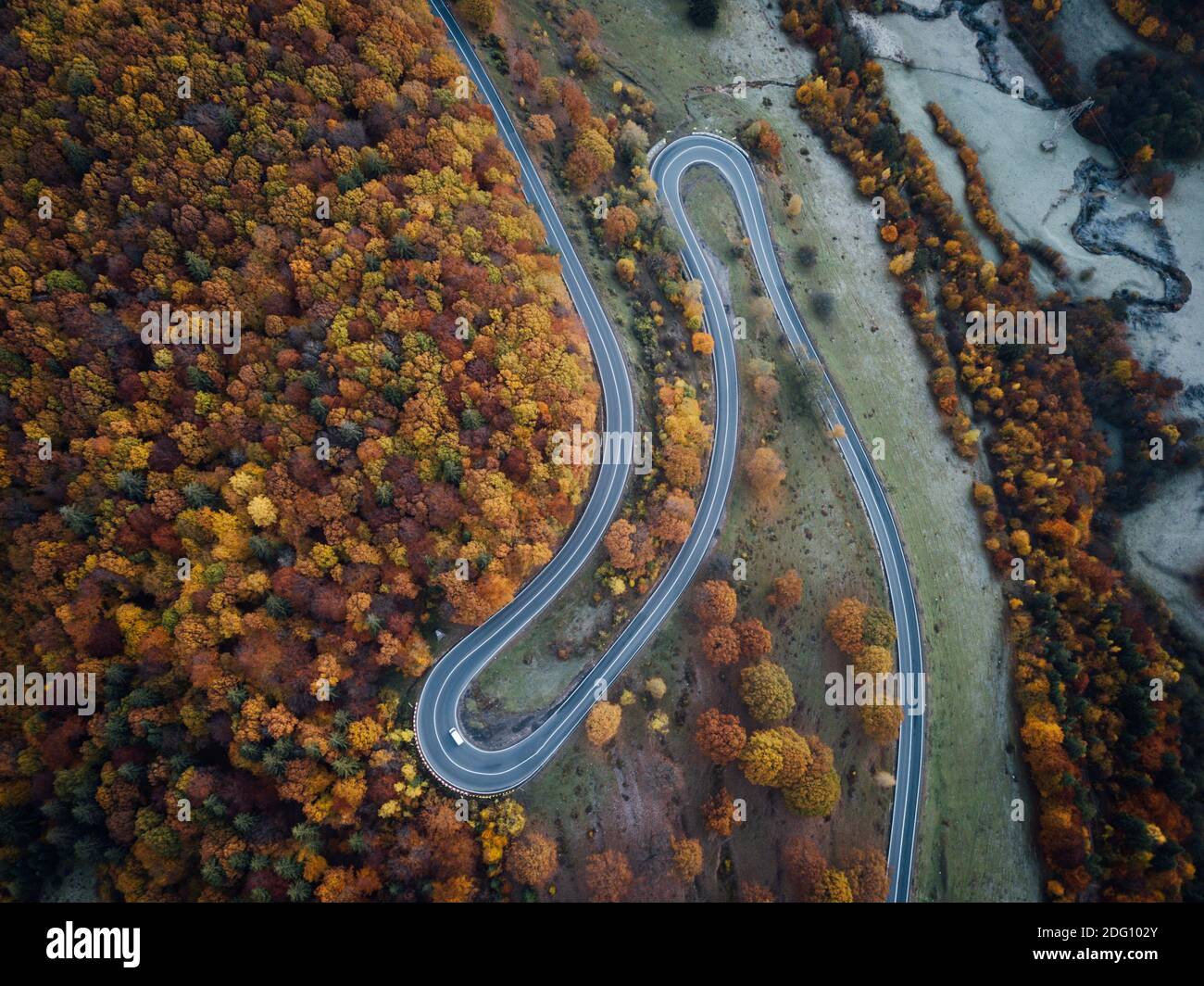 Oak trees from above hi-res stock photography and images - Alamy