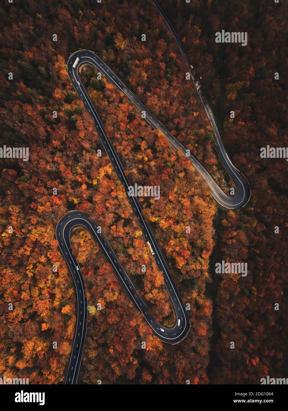 Curved road in the forest. Aerial image of a road.. Scenic curvy ...