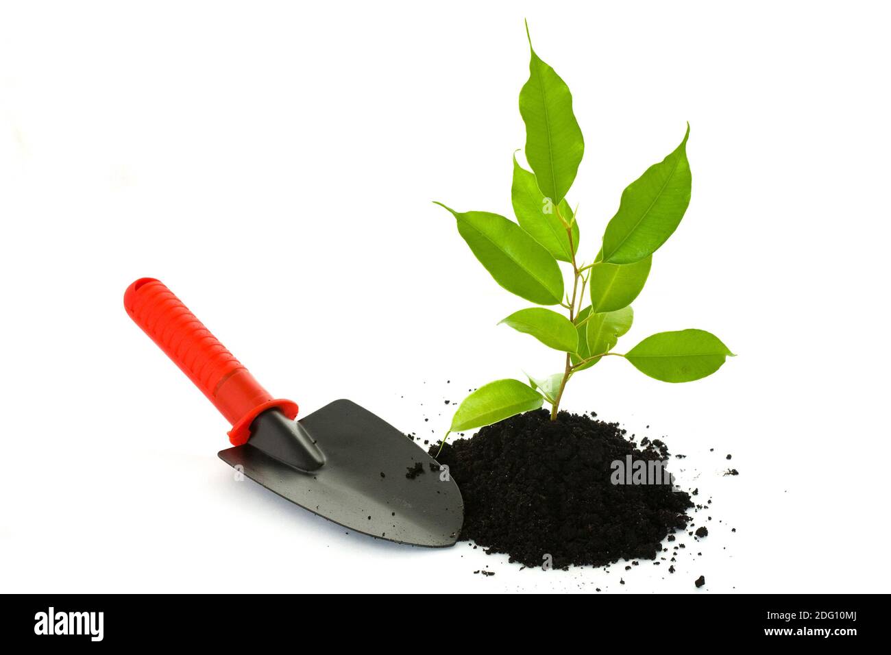 Beginning of a new life hi-res stock photography and images - Alamy