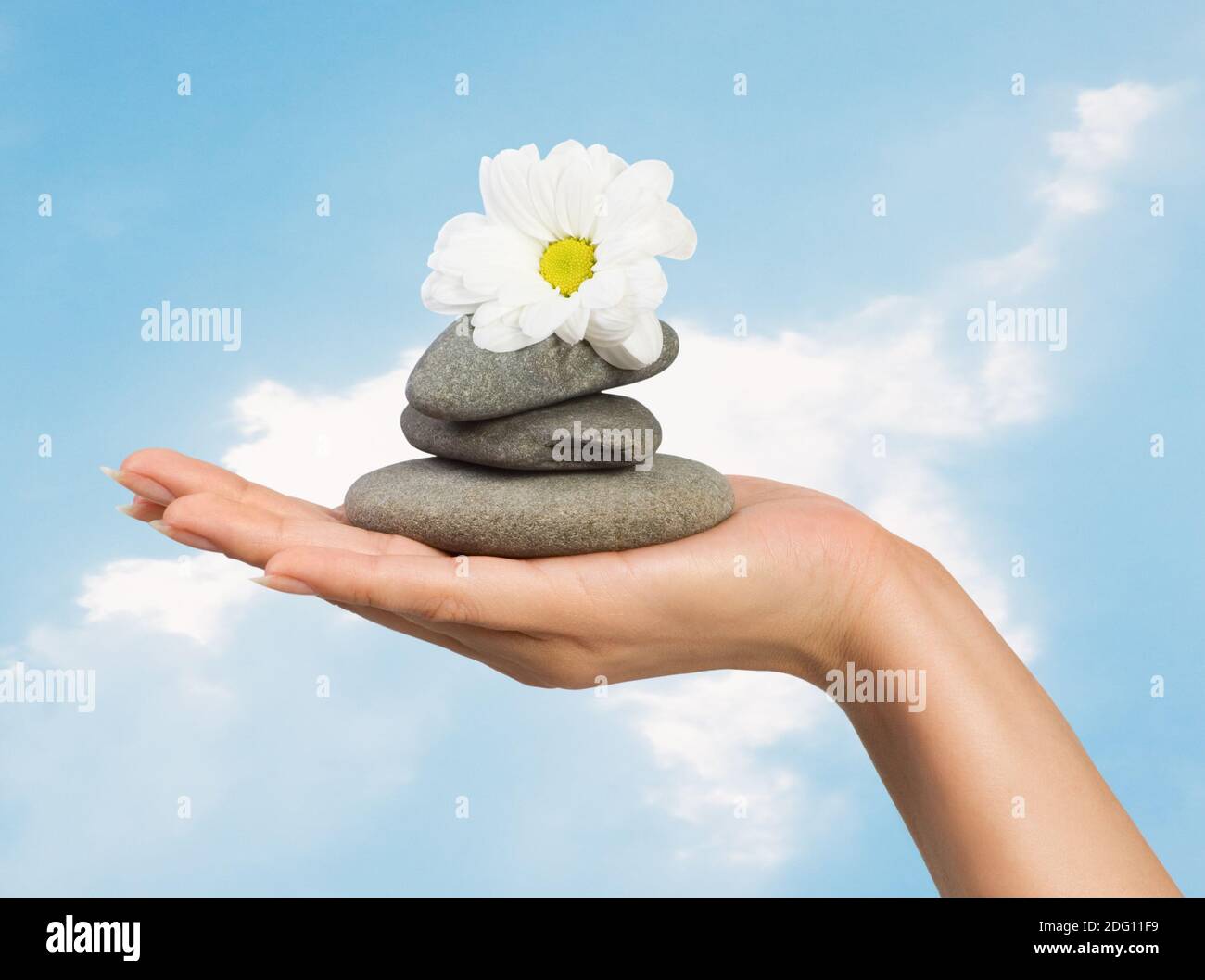 Hand with flower hi-res stock photography and images - Alamy