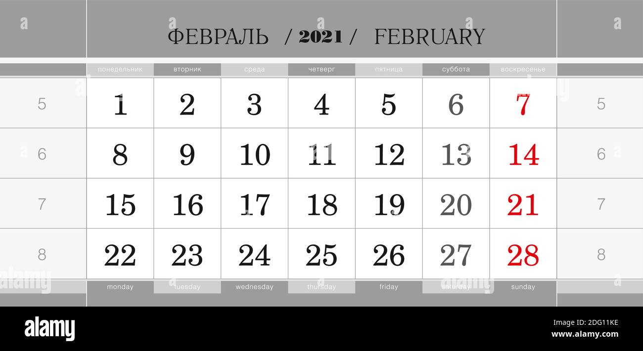 Calendar quarterly block for 2021 year, February 2021. Wall calendar ...