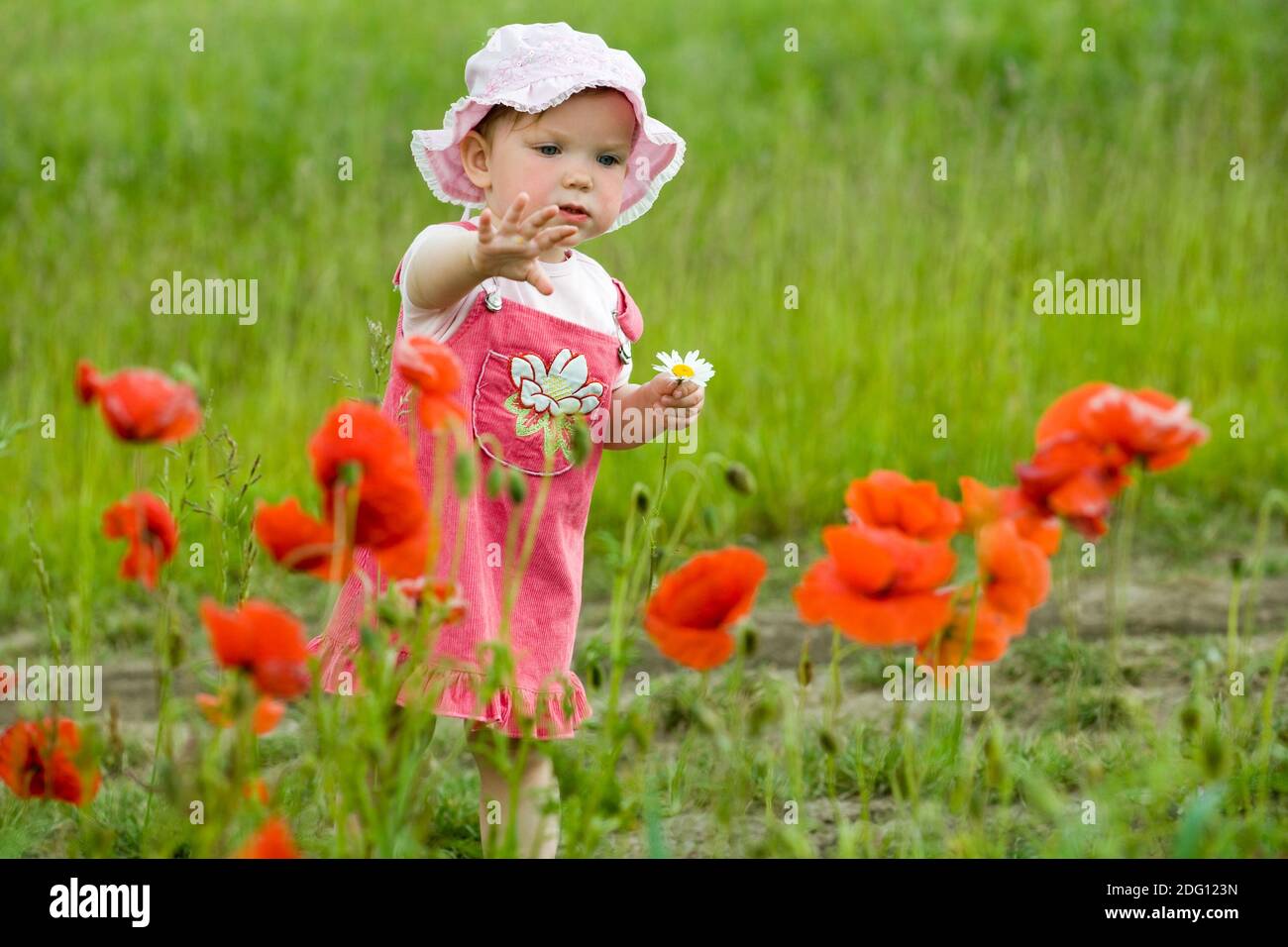 Baby-girl with poppies Stock Photo - Alamy